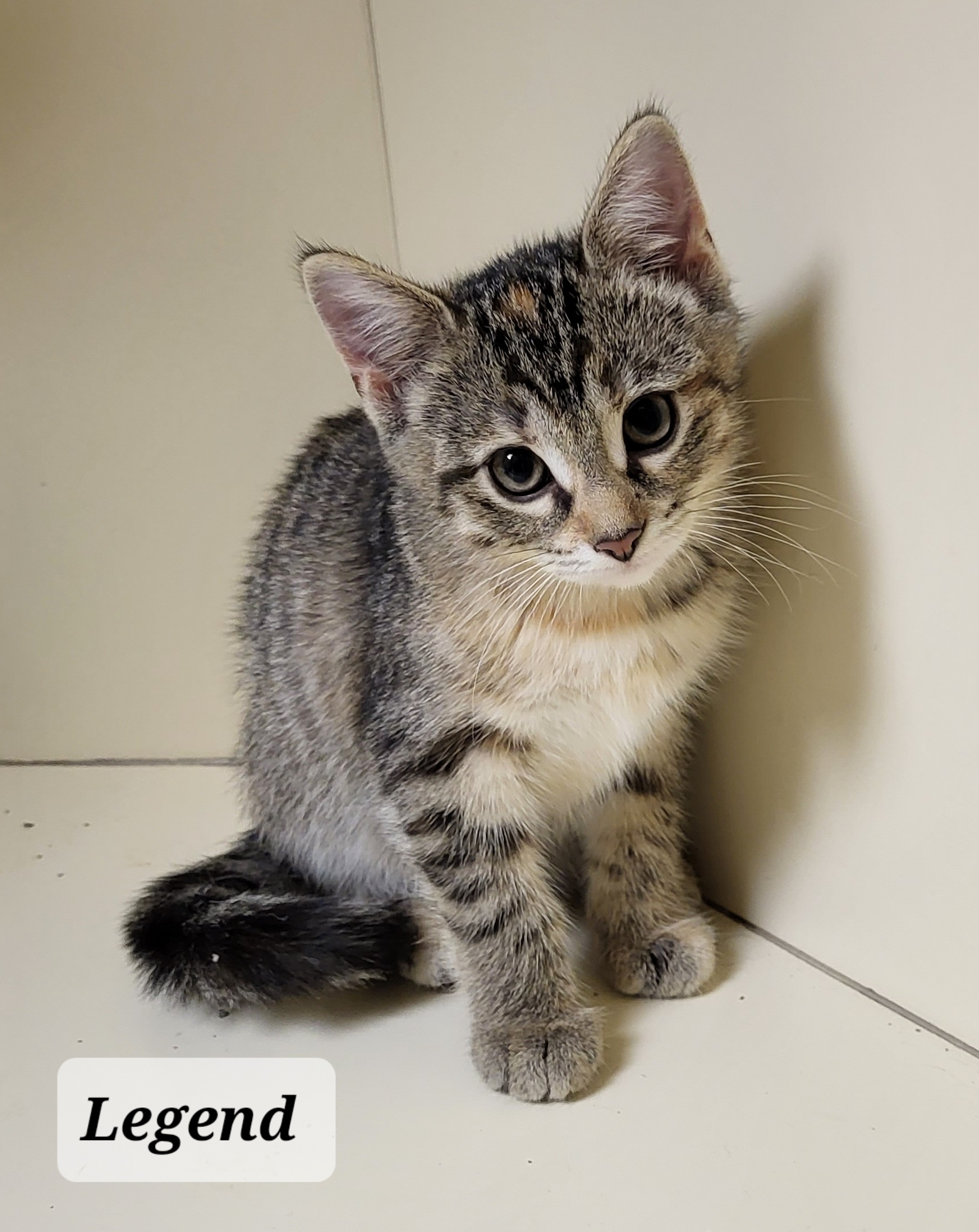 Legend - Fond du Lac Humane Society